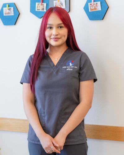 Irving Low Cost Vet - Affordable Vet Care TX [SCHEDULE ONLINE]