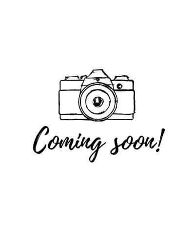 Irving Low Cost Vet - Affordable Vet Care TX [SCHEDULE ONLINE]